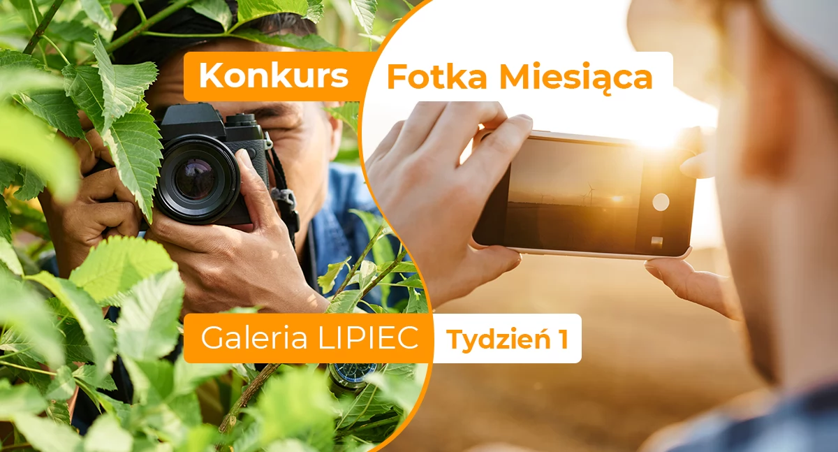 Fotka miesiąca lipca - tydzień pierwszy - wiadomości Złotów